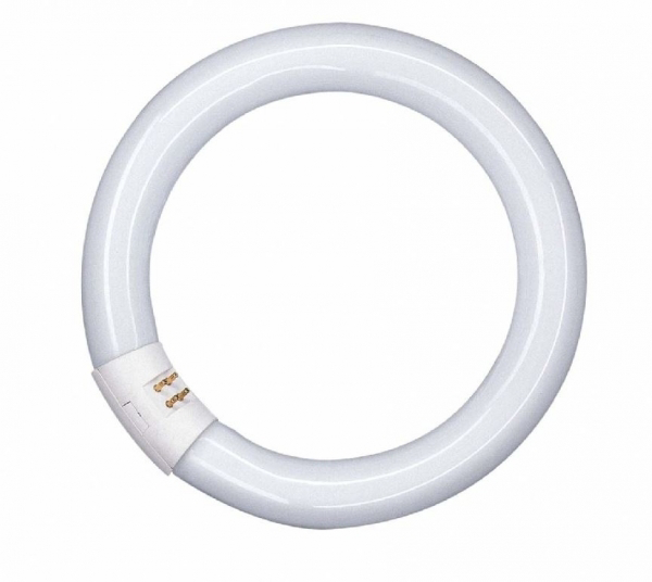 Лампа люминесцентная L 22W/840 C 22Вт кольцевая 4000К G10q OSRAM ...